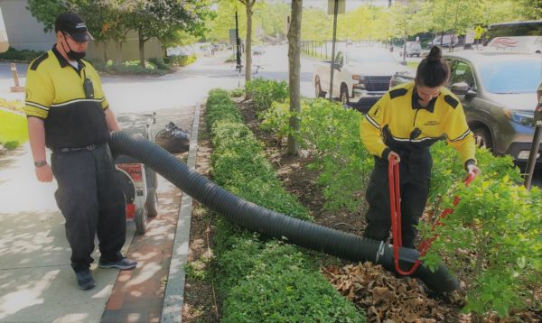 Spring Cleaning Underway Downtown | Special Improvement Districts